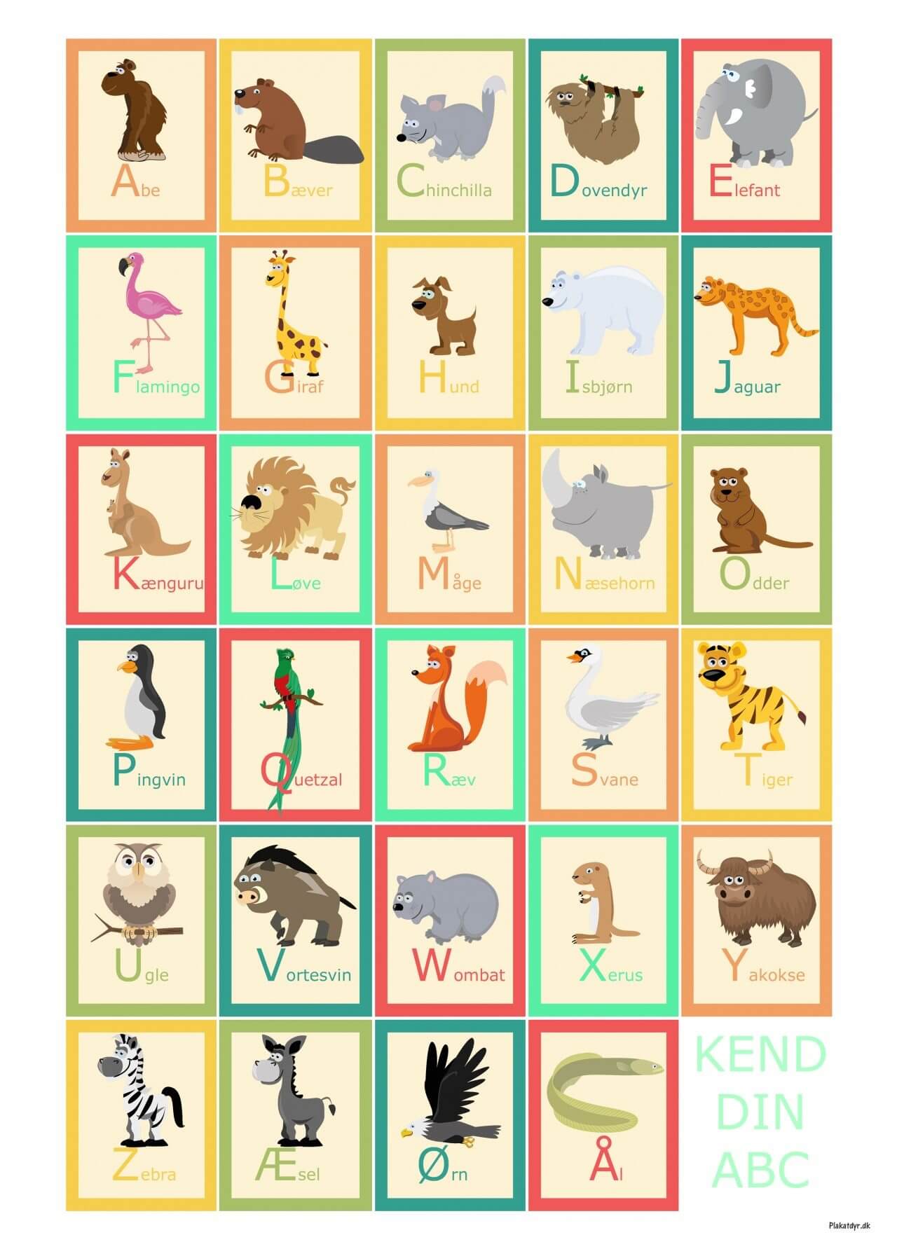 Designer ABC-plakat med sjove dyr og illustrationer 🐼🦁🐵
