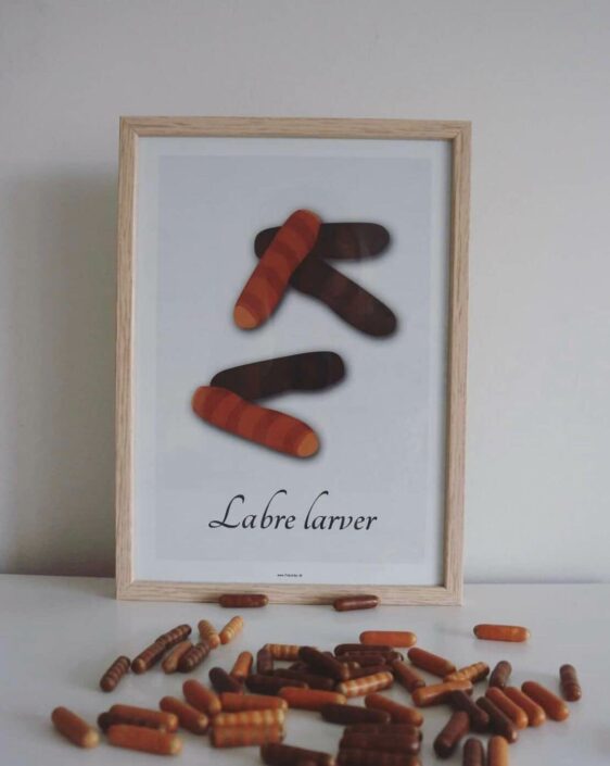 Labre larver - plakat | Stort udvalg af plakater | Topscore på Trustpilot