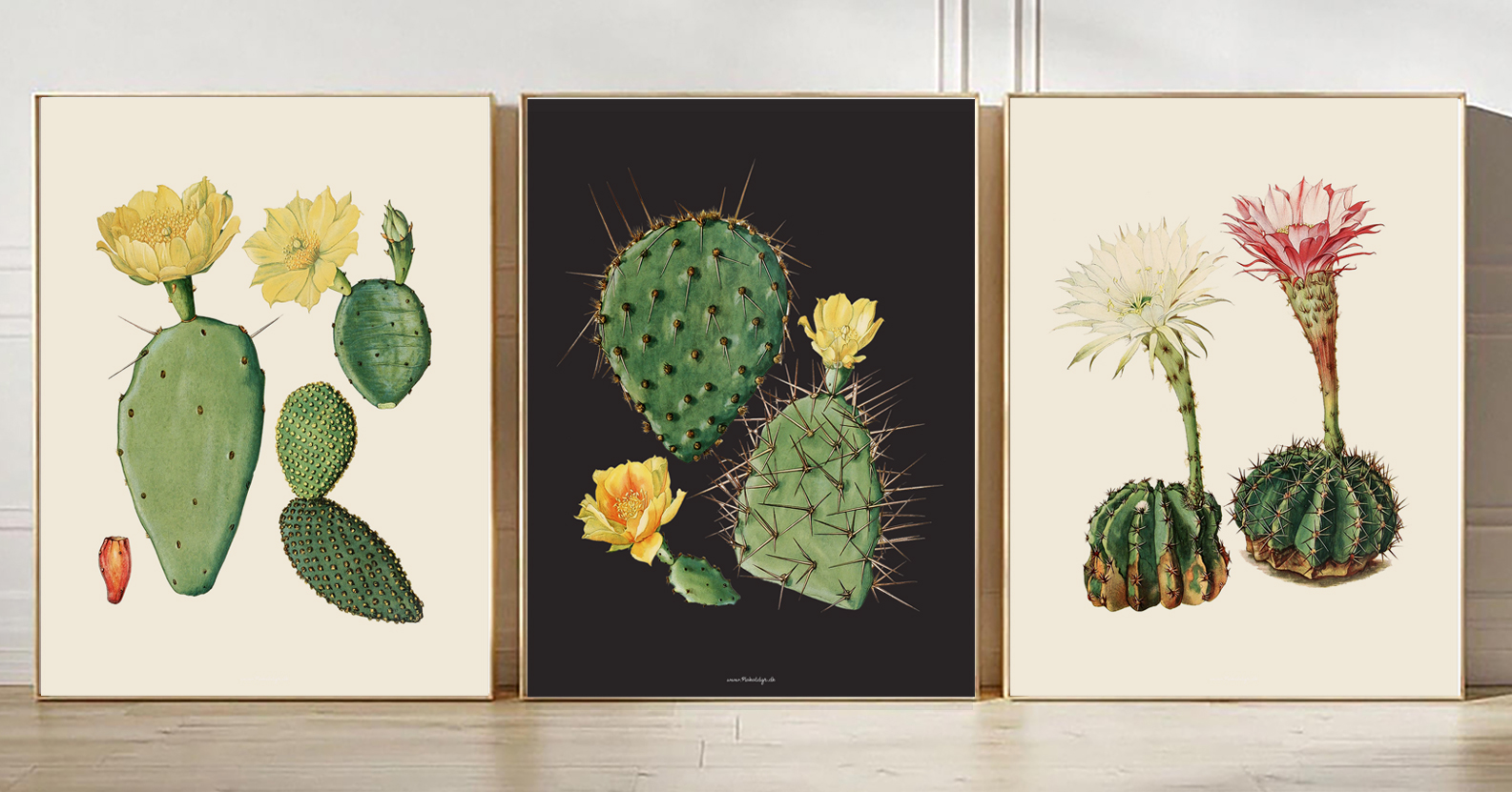Kaktus plakater – 👍 Se alle de vilde botanikplakater hos os 🌳😊