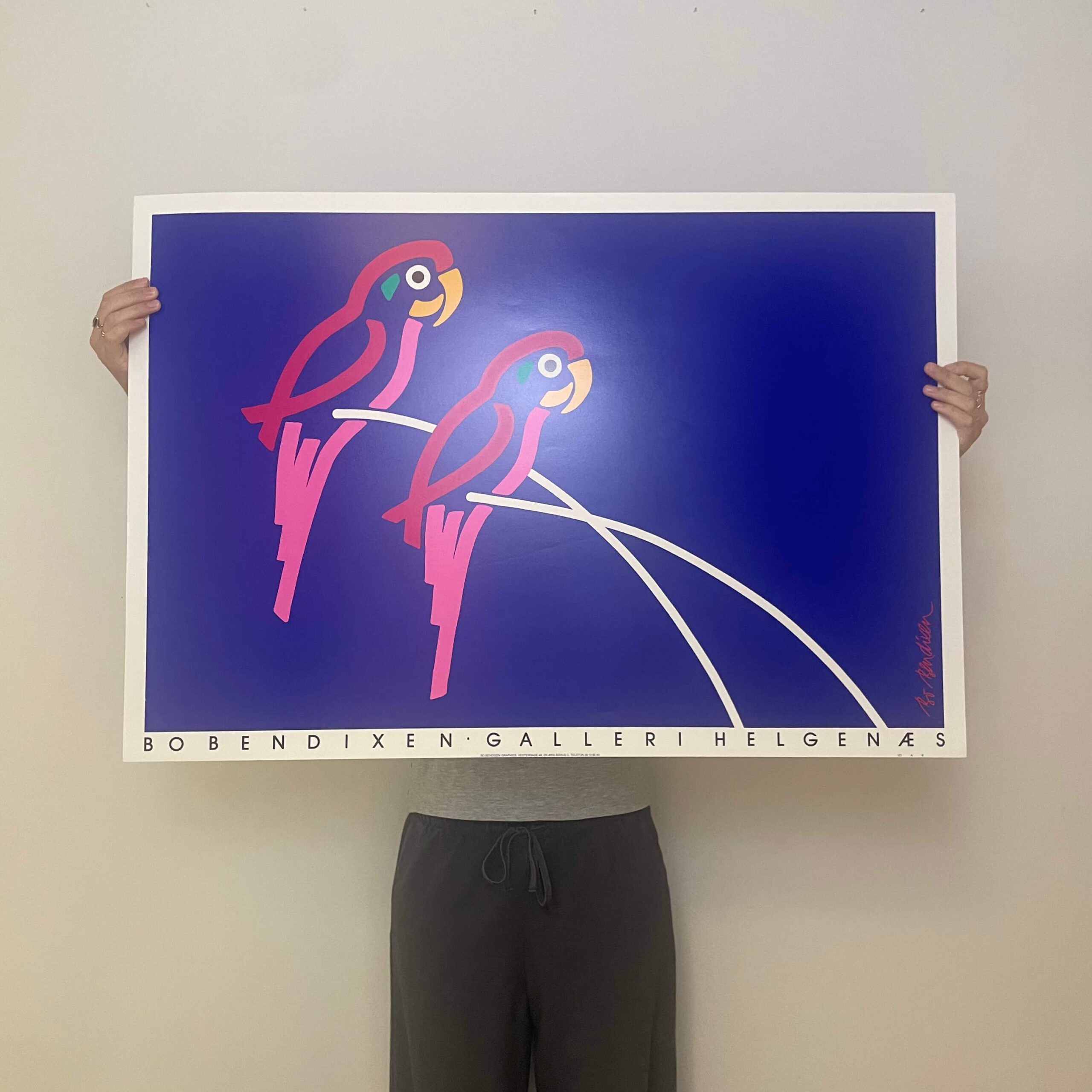 Lyserøde gøjer | Blå baggrund 🦜